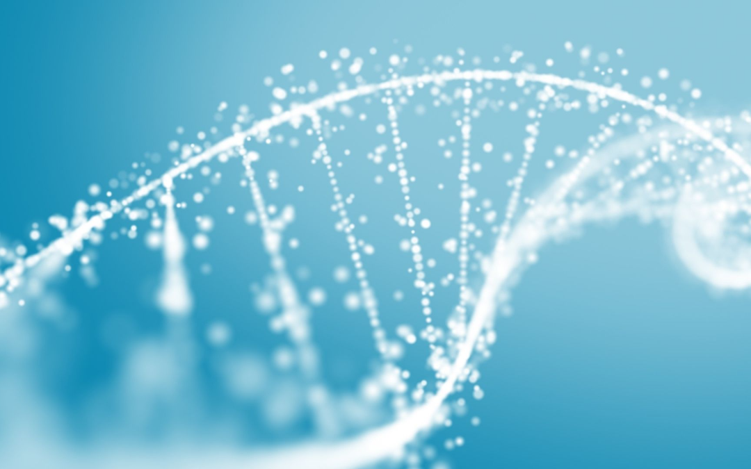 Environmental DNA rewrites field guides in real-time biodiversity ...